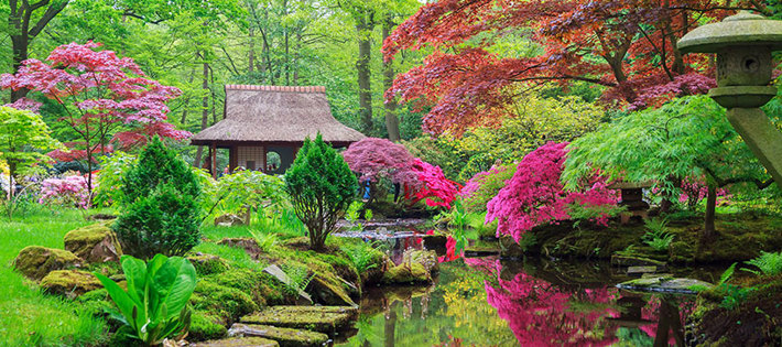Ancient Japanese Gardens Discover Kyoto's Japanese Gardens: Exclusive